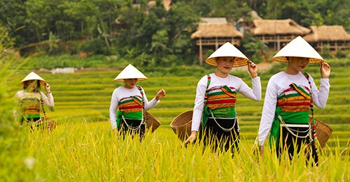Explore Kho Muong Village: A Natural Gem In Pu Luong, Vietnam