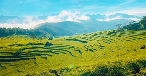 Pu Luong Travel Guide, All things to do in Puluong