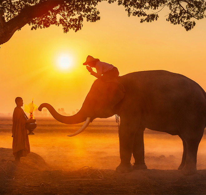 Best MICE travel destinations for a business trip in Thailand