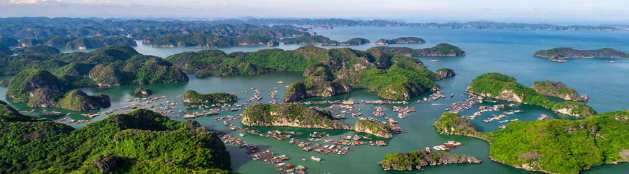 Cat Ba Island Review : Your Ultimate Cat Ba Travel Guide