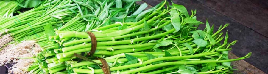 Morning Glory Vegetable: An Indispensable Dish In Vietnamese Cuisine